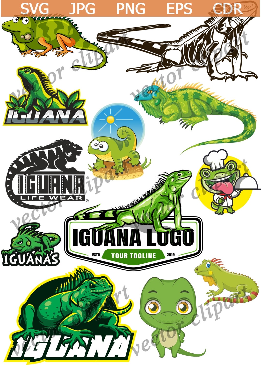 Iguana SVG Iguana Clipart Iguana Svg File Iguana Vector - Etsy Hong Kong
