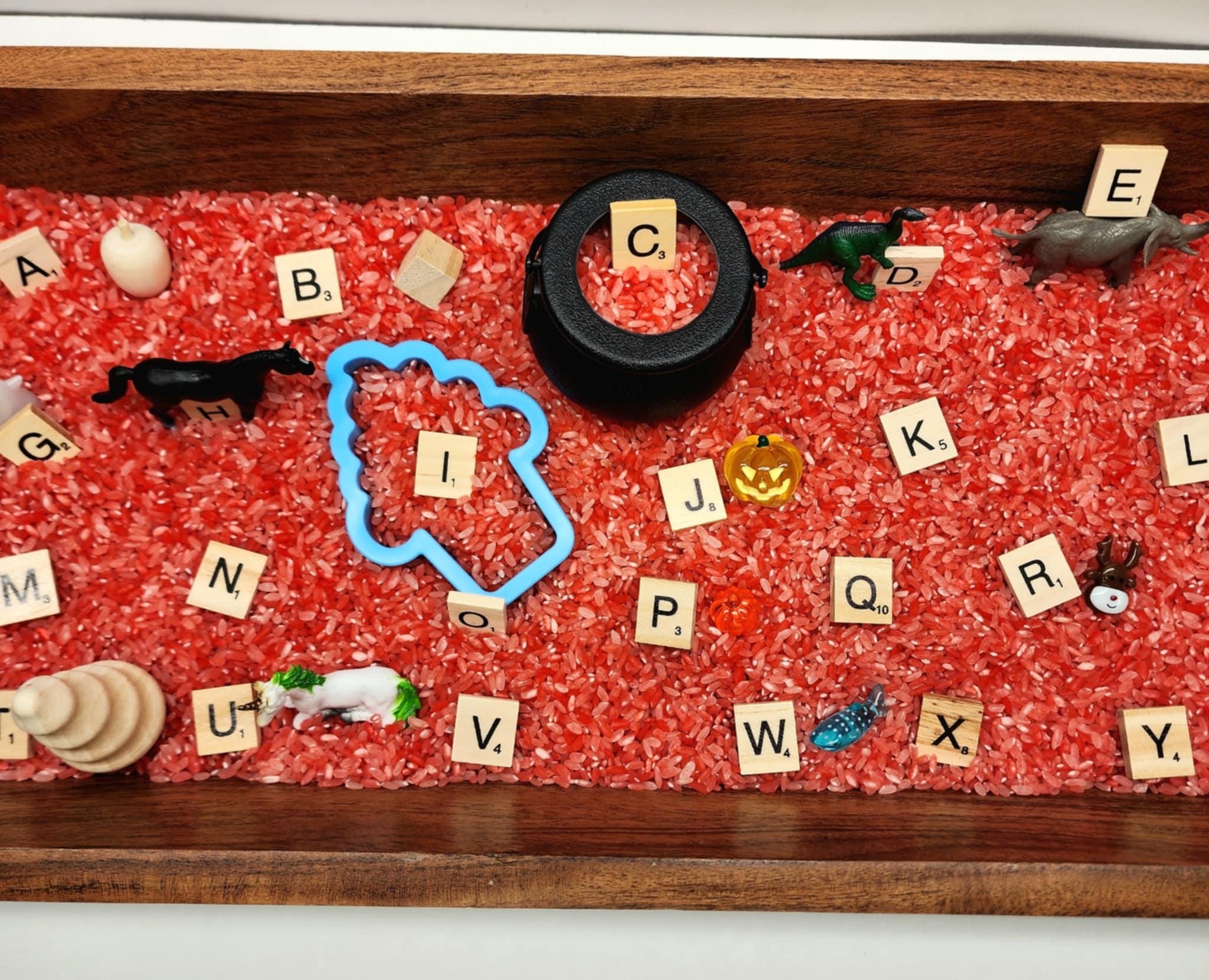 Interactive Alphabet Sensory Play Set for Children WITH CONTAINER - Etsy