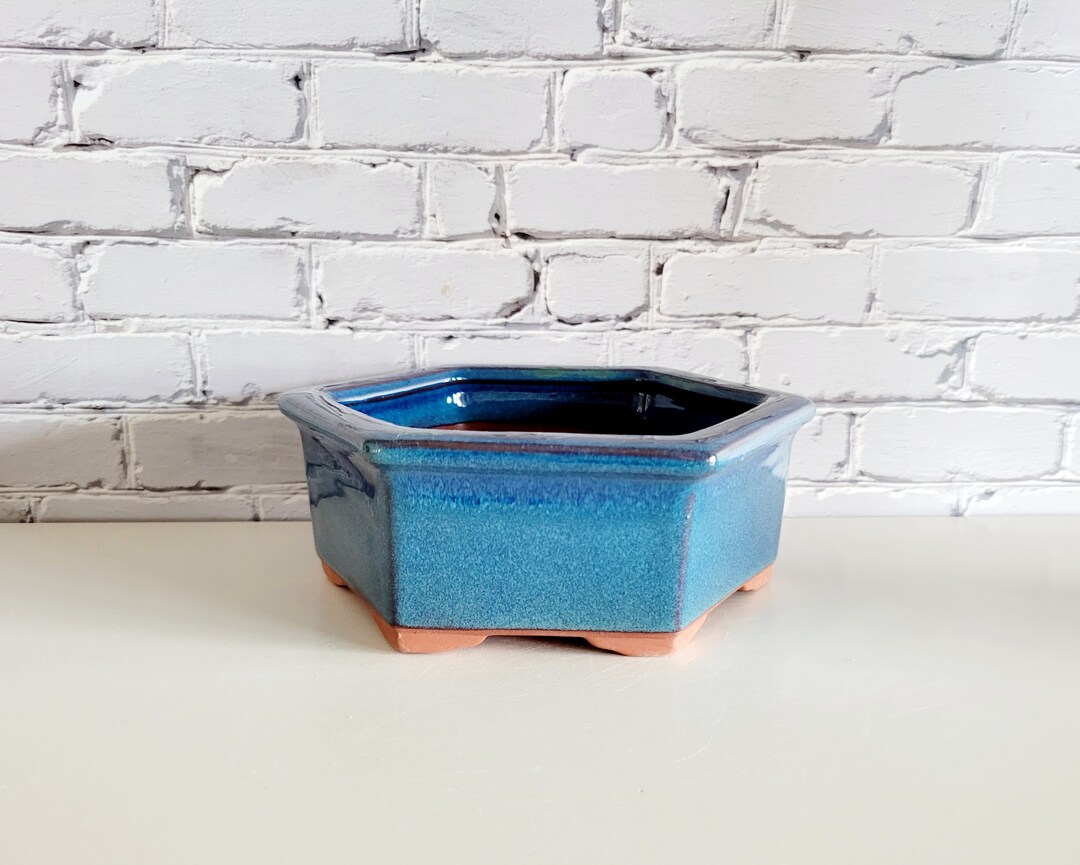 Glazed Ceramic Hexagon Bonsai Pot With Proper Drainage for Succulents ...