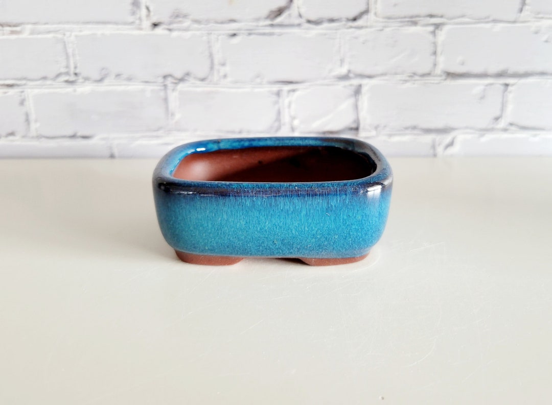Glazed Ceramic Mini Bonsai Pot With Proper Drainage for Succulents and ...