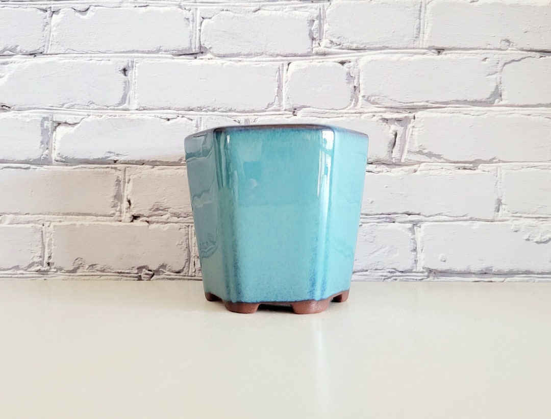Glazed Ceramic Hexagon Pot With Proper Drainage for Succulents and ...