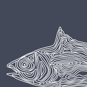 Tuna Fish Print Set of 2 Simple Line Art Tuna Fish Wall Art Printable ...