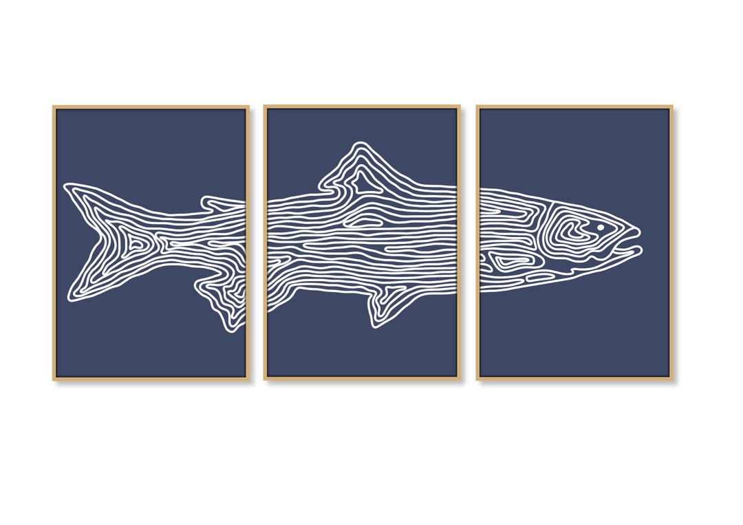 Trout Print Set of 3 Simple Line Drawing Wall Art Trout Fish - Etsy
