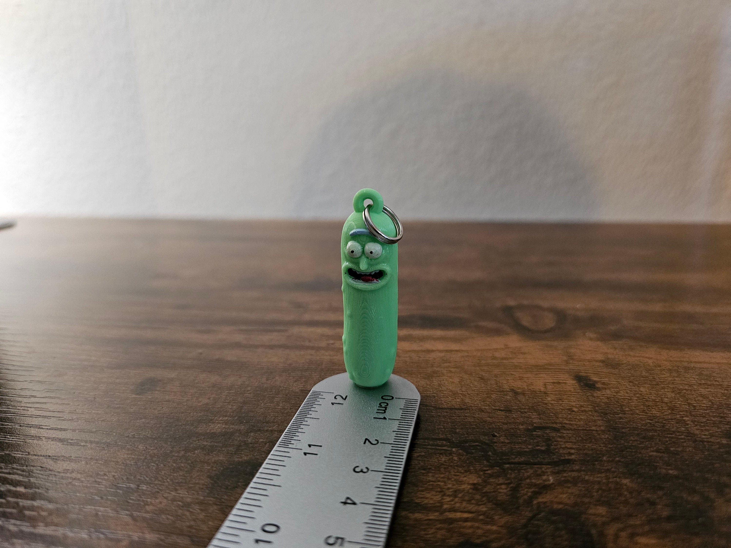 Pickle Rick Keychain - Etsy