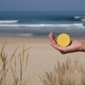 Cold Water Surf Wax, All Natural With Portuguese Ingredients From Small ...