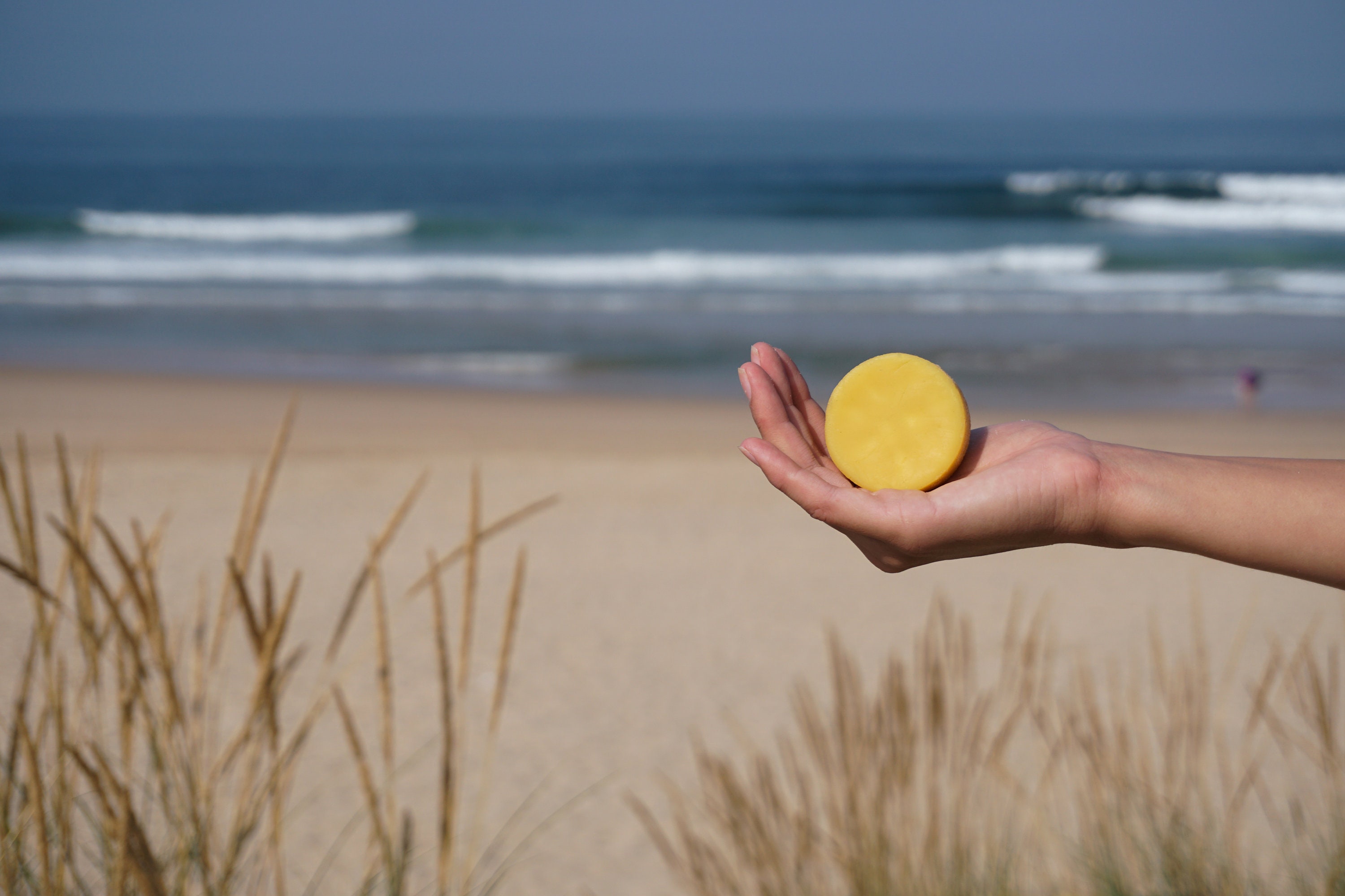 Cold Water Surf Wax, All Natural With Portuguese Ingredients From Small ...