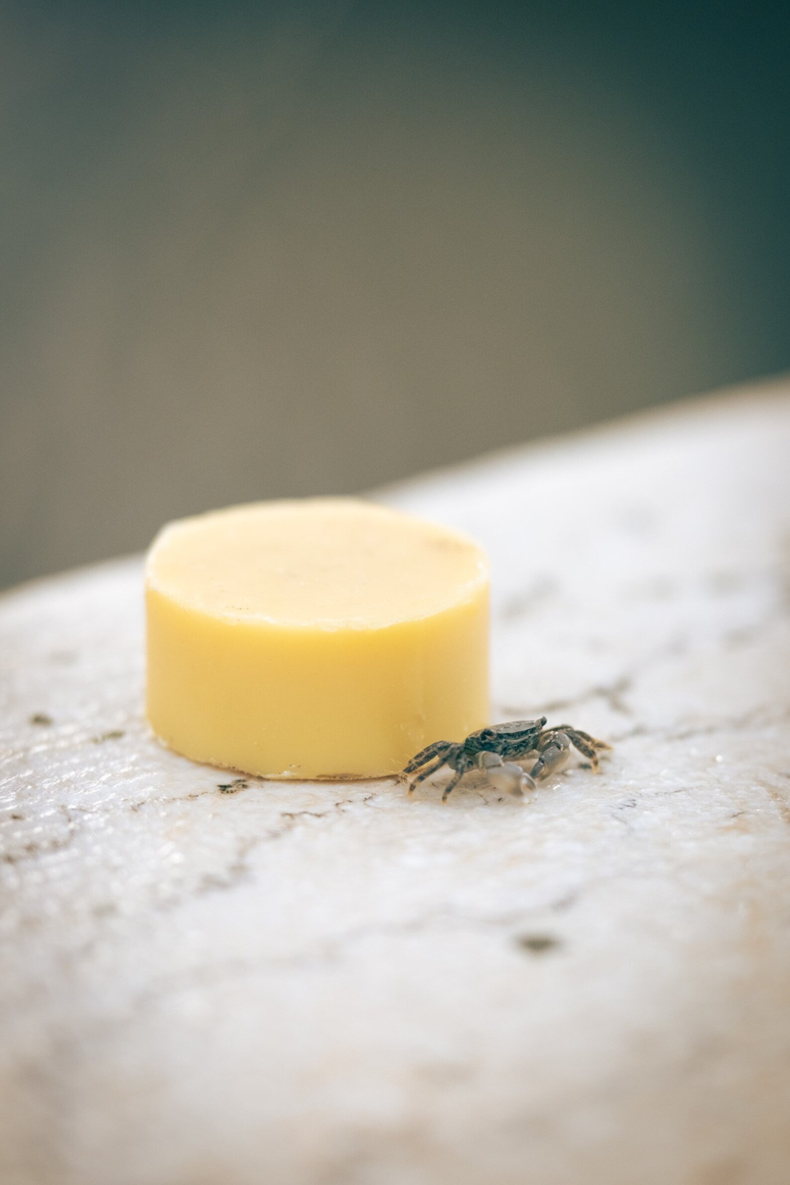 Warm Water Surf Wax or Base Coat Surf Wax, All Natural With Portuguese ...