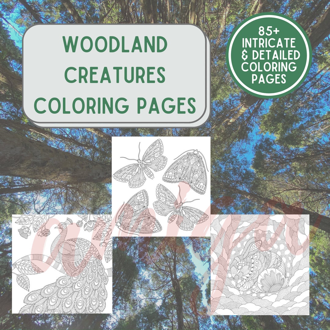 85+ Printable Instant Download Coloring Pages Woodland Creatures ...