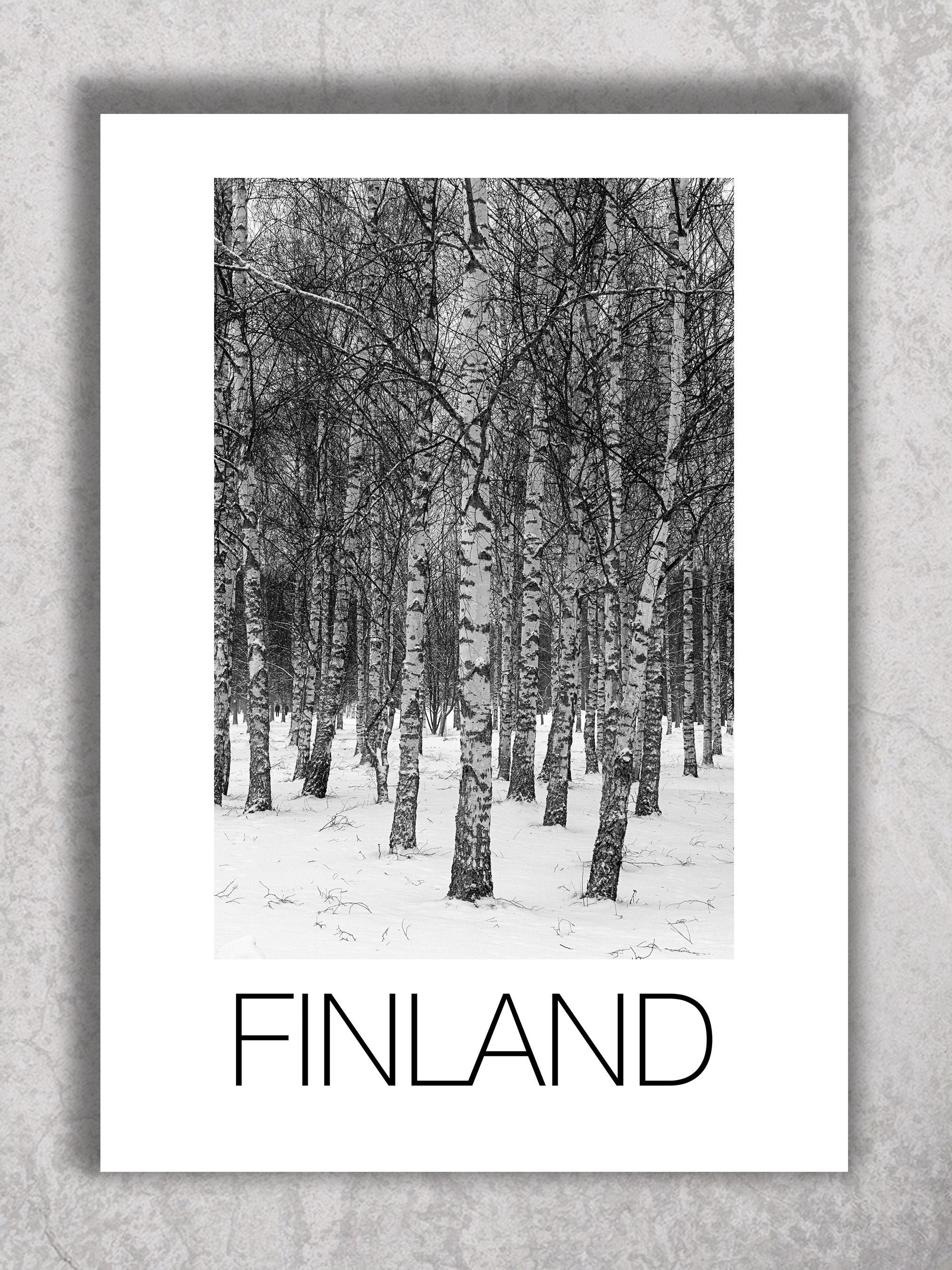 Finland Travel poster Finland Silver Birch Trees poster | Etsy