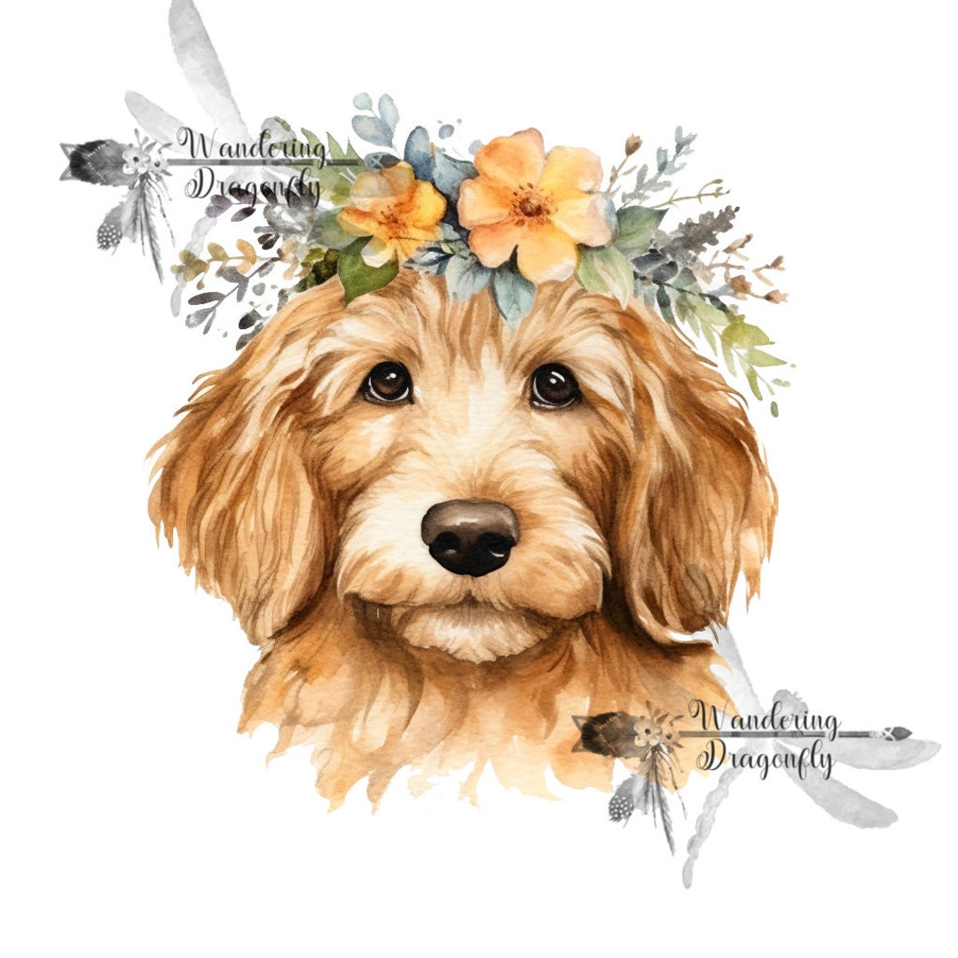 Goldendoodle Design | PNG File | Transparent Background | Digital ...