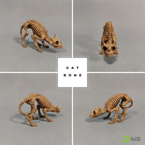 Customizable Cat Skeleton Replica - Choose Color and Size - Handmade ...