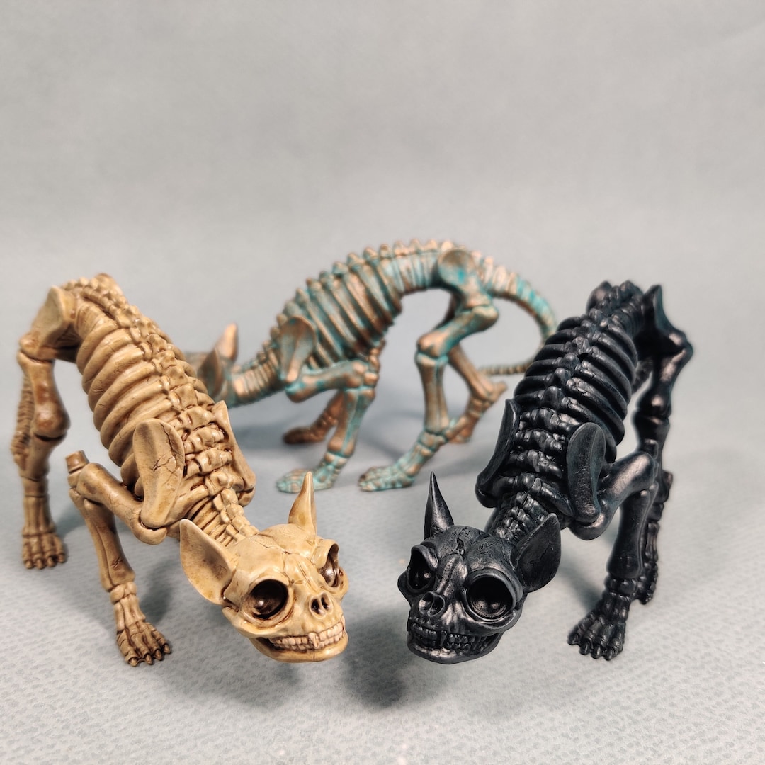 Customizable Cat Skeleton Replica - Choose Color and Size - Handmade ...
