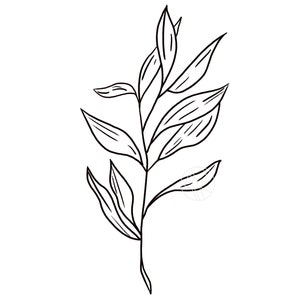 Olive Branch Line Art - Digital Download - Etsy