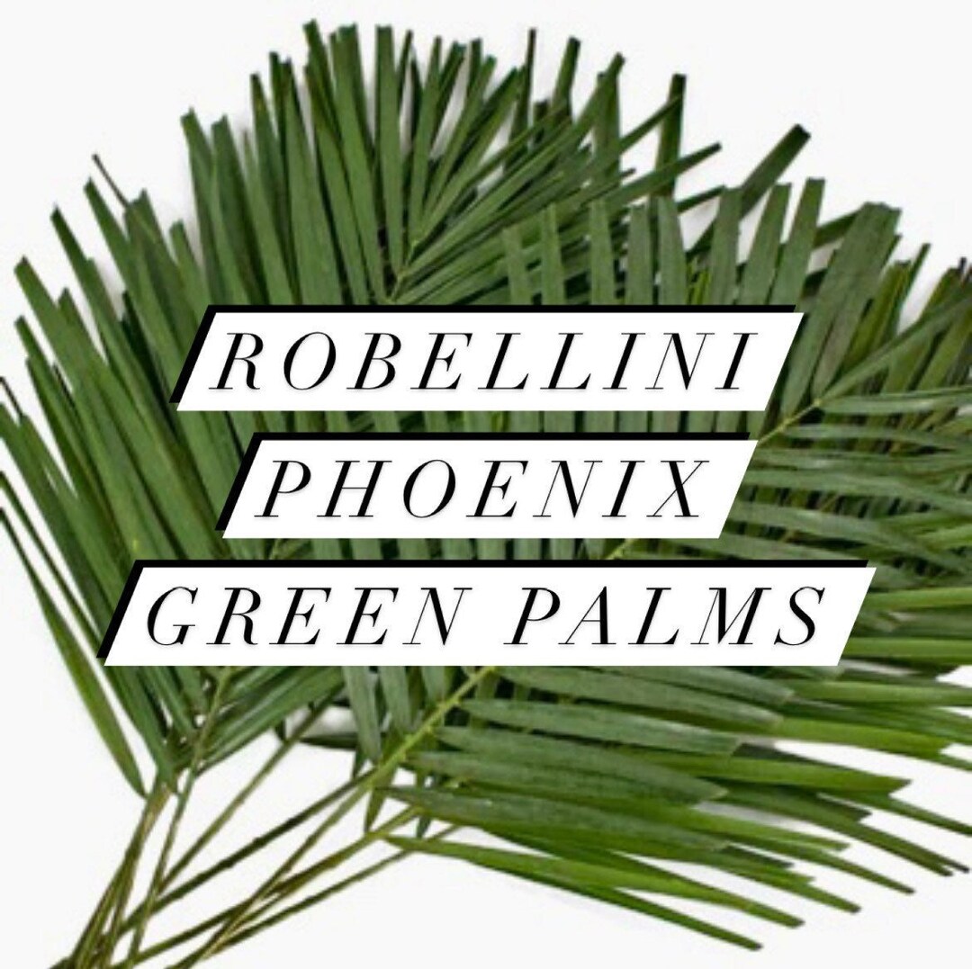 Robellini Phoenix Green Palms - Etsy