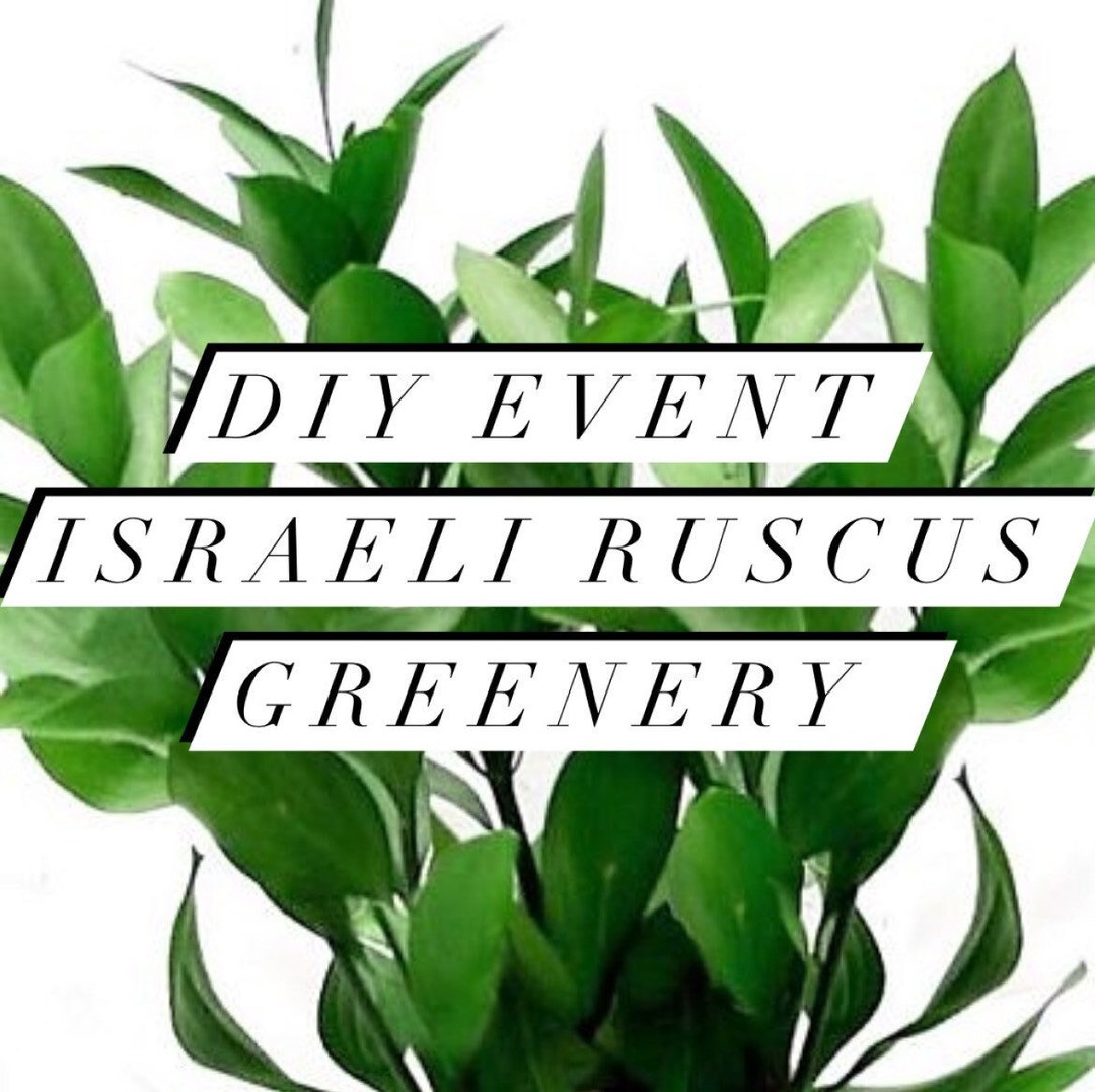Fresh Israeli Ruscus Greenery, California Grown - Etsy