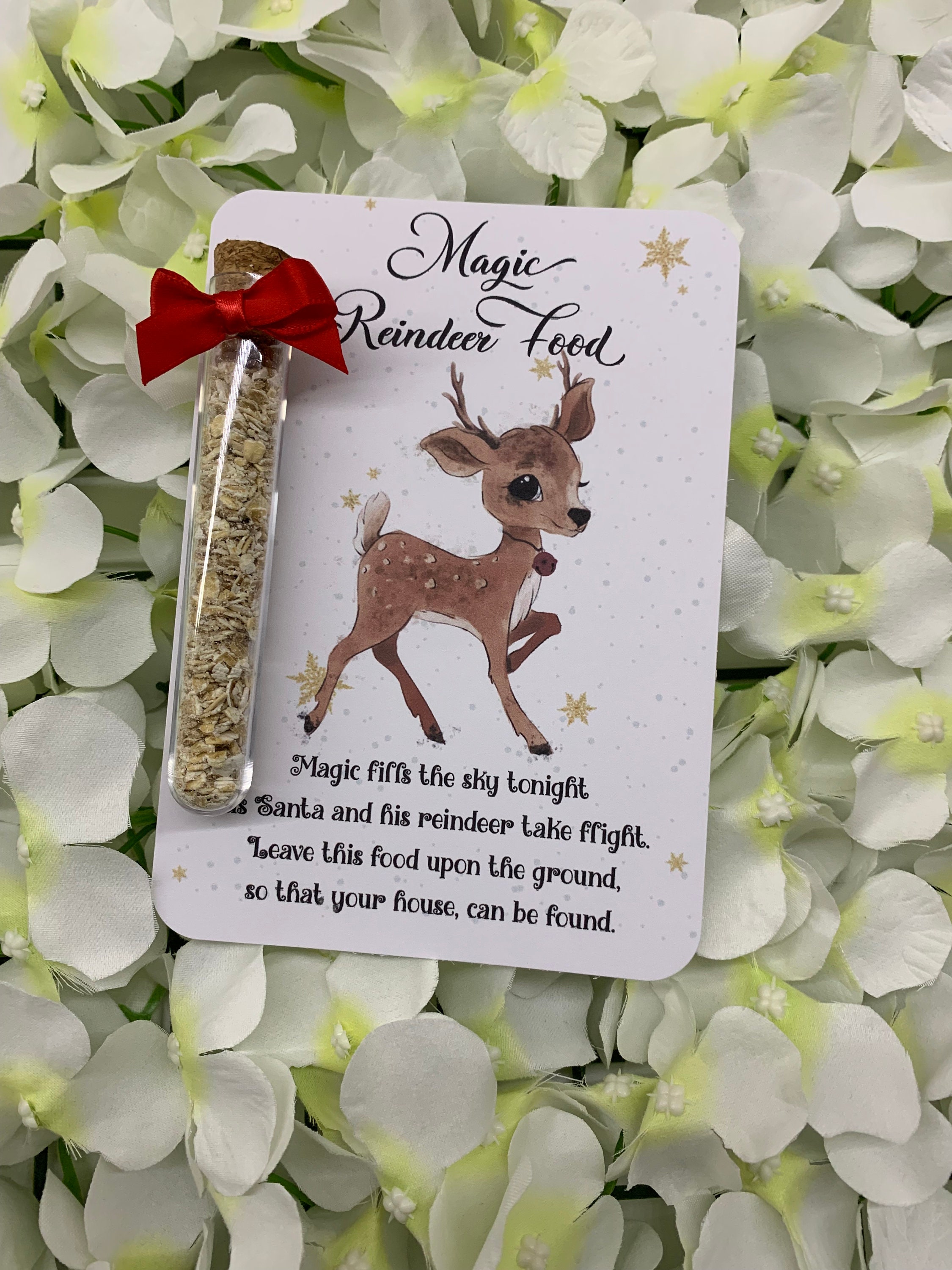 Magical Reindeer Food Christmas Eve Box Christmas Eve Gift - Etsy UK