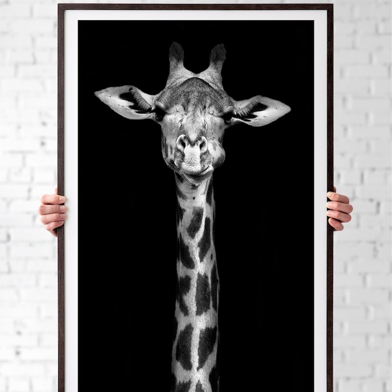 Black and White Giraffe Art - Etsy