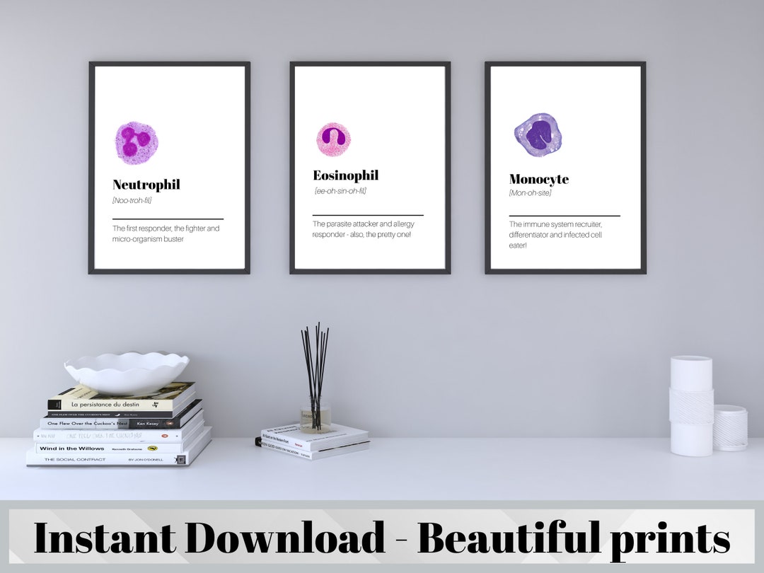 White Blood Cell Prints Neutrophil Eosinophil monocyte Lymphocyte ...