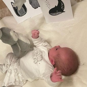 Newborn Baby Sensory Cards, Sensory Flashcards, Baby Sensory ...