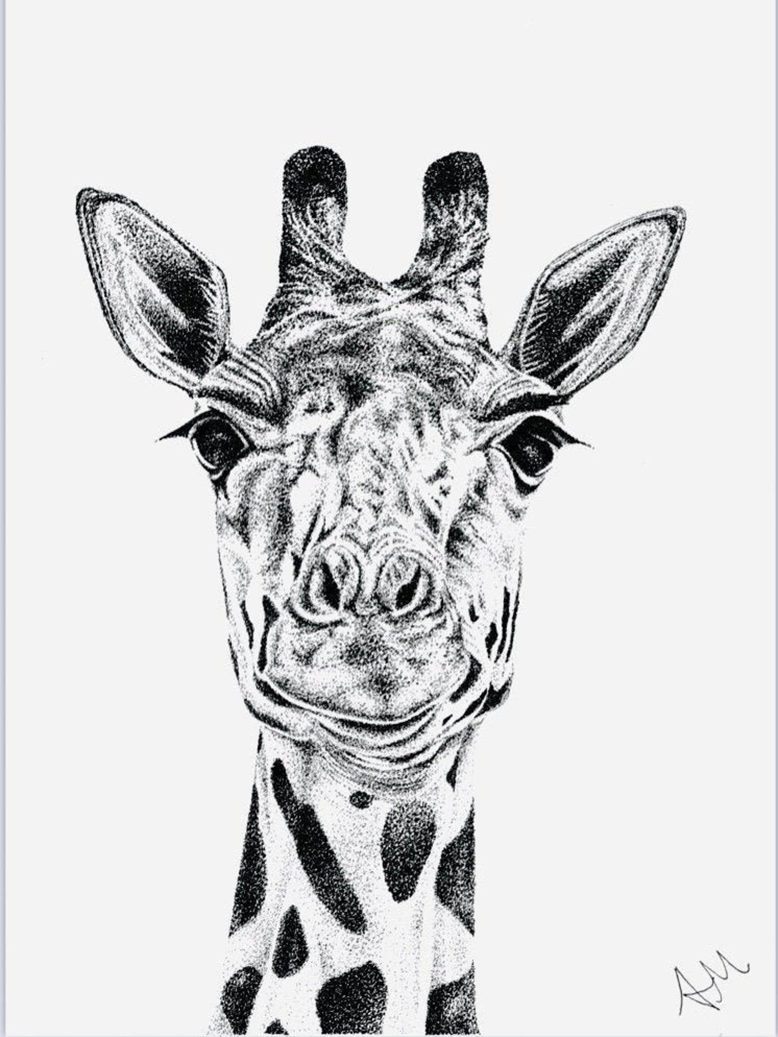 Giraffe - A4 Black and White Art Print, Pen and Ink, Illustration. UK ...