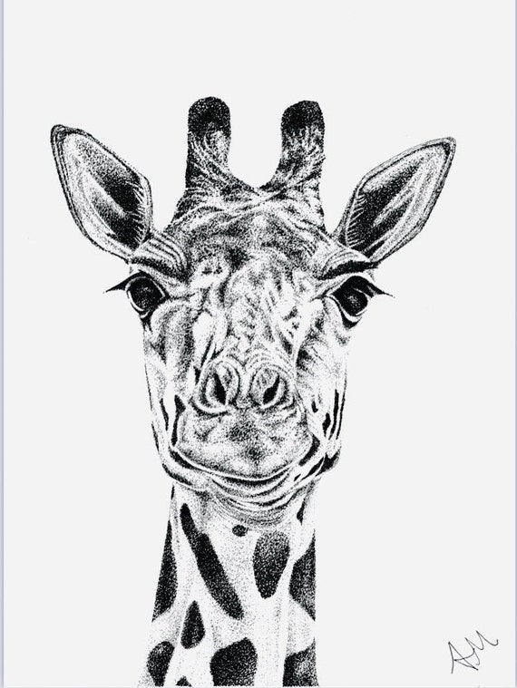 Vintage Ink Drawings Giraffe