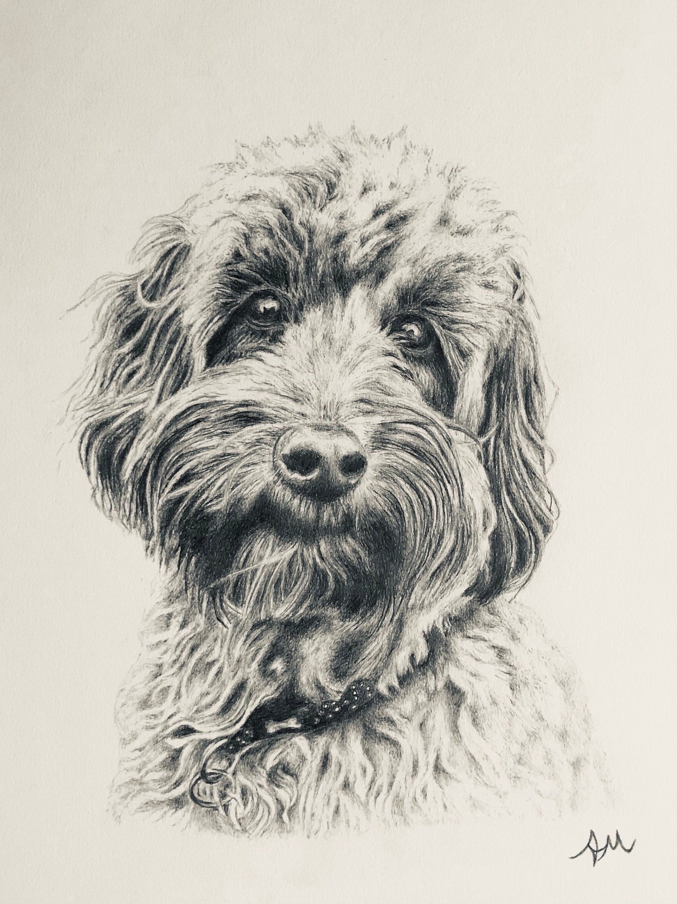 Commissions Personalised Hand Drawn Pet Portraits. Graphite - Etsy