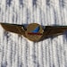 Piedmont Airline Souvenir Wings, Aviation Memorabilia - Etsy