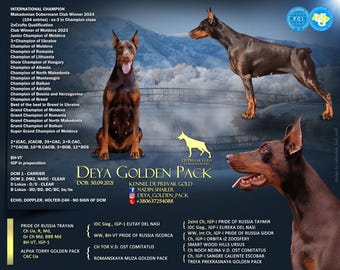 CUSTOM Graphic Design for Breeders | LOGO | Stud Dog | Planned Litter ...