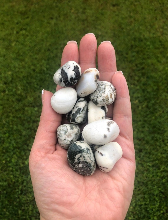 Tree Agate Tumbled Stone Large Tree Agate Stone Agate | Etsy