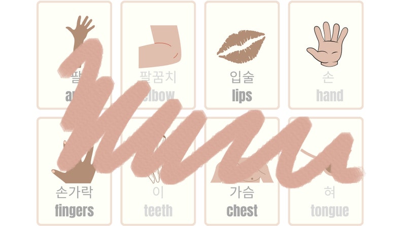 MUST-KNOW Korean Body Parts for ALL Learners Printable - Etsy