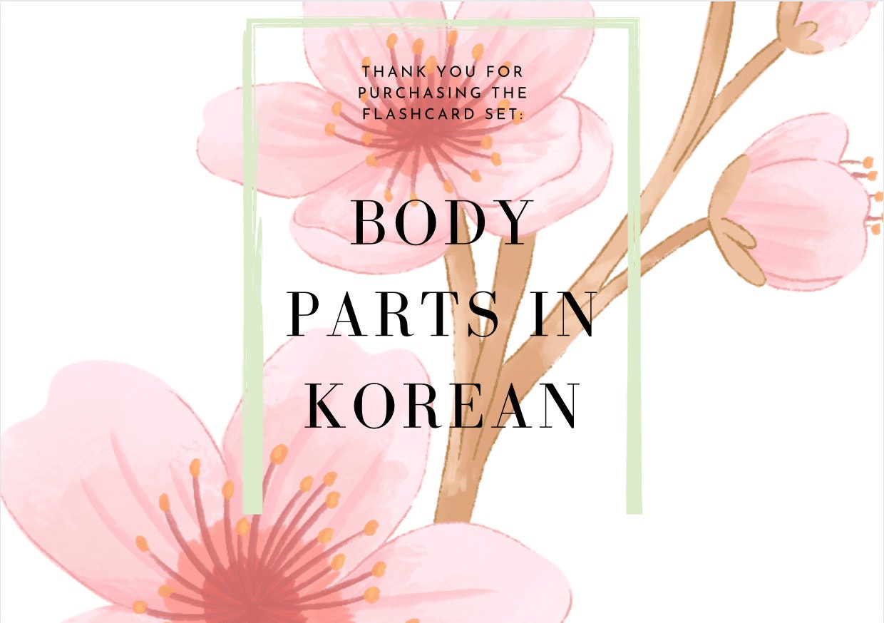 MUST-KNOW Korean Body Parts for ALL Learners! Printable Flashcard Set ...