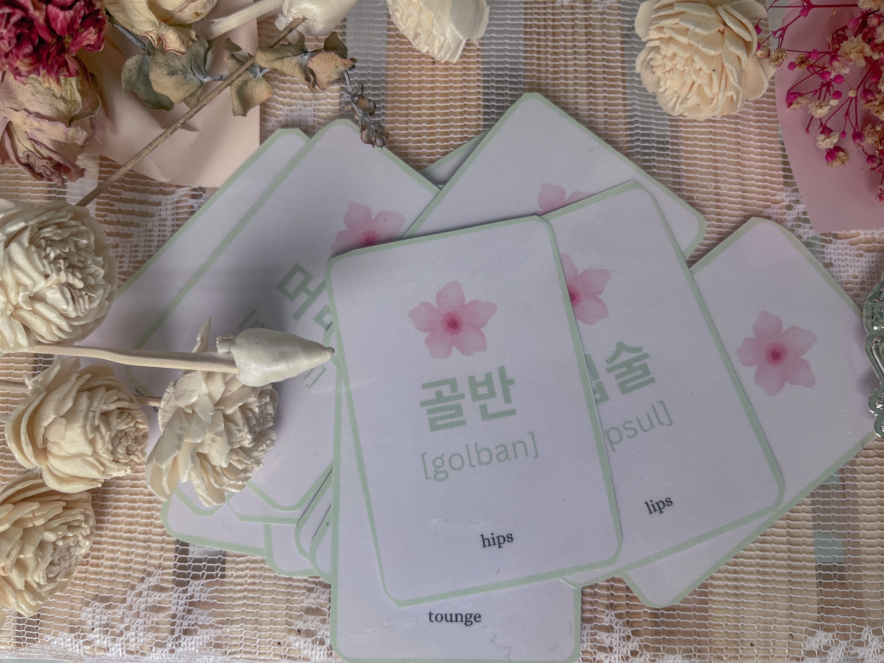 Korean Study Flashcard BUNDLE, Learn Korean Language Hangul for ...