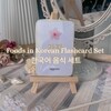 Korean Study Flashcard BUNDLE, Learn Korean Language Hangul for ...