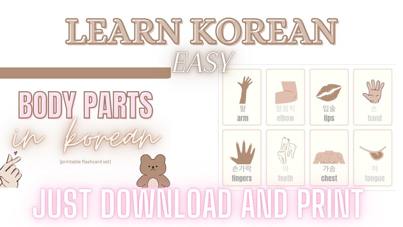 MUST-KNOW Korean Body Parts for ALL Learners Printable - Etsy