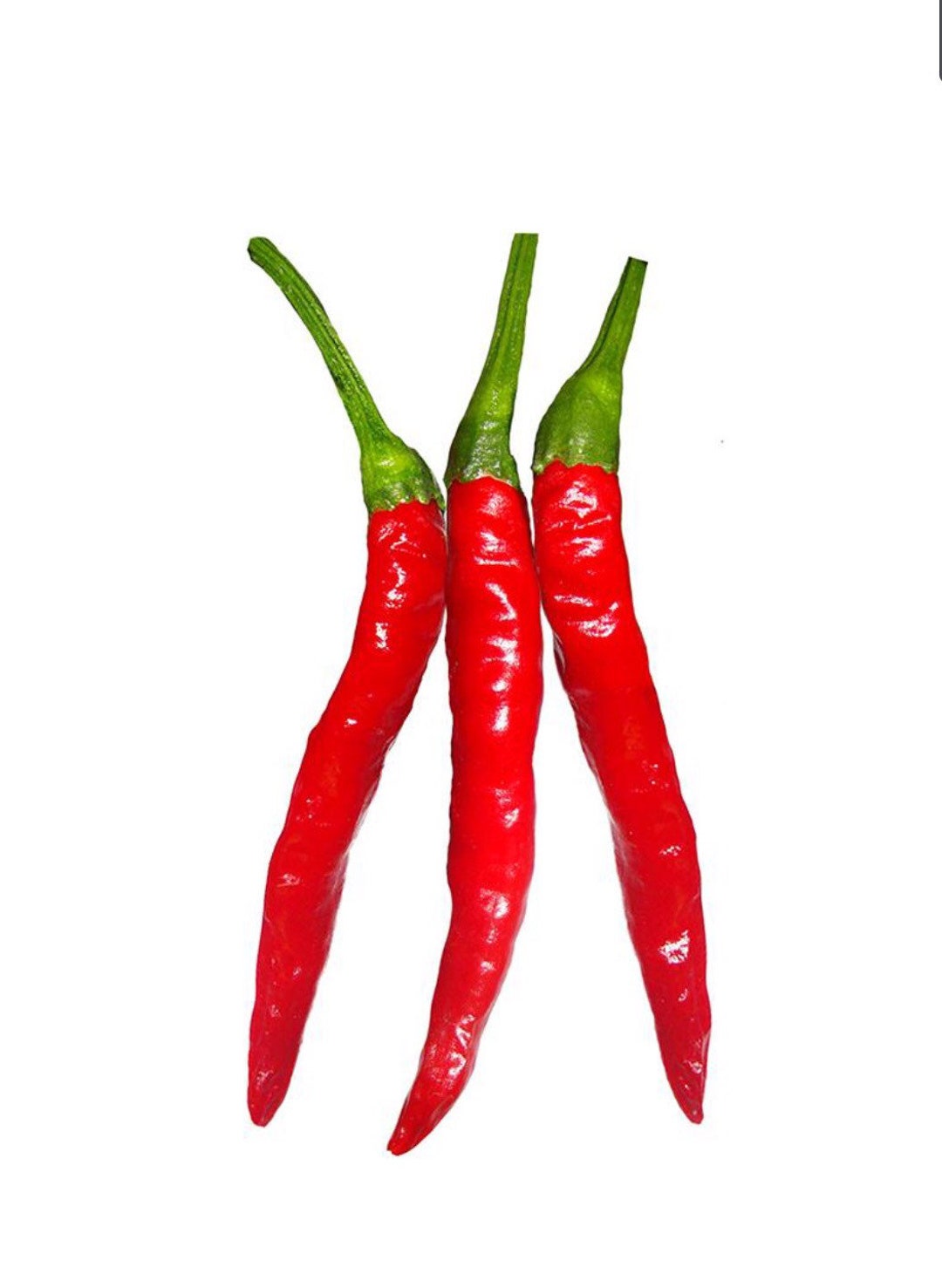 Thai Hot Pepper 30 Seeds - Etsy
