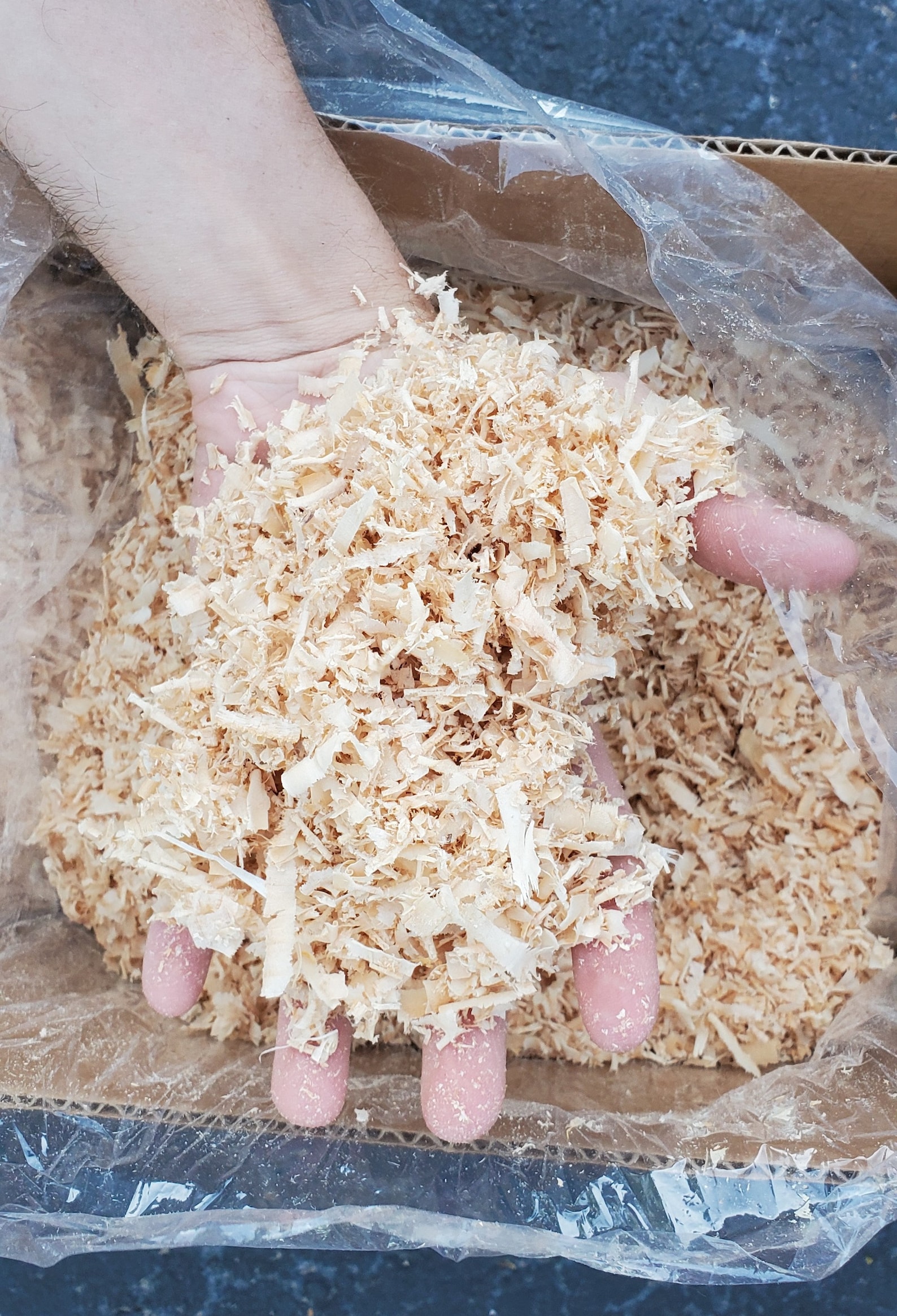 2 Lbs Of Pine Wood Shavings Etsy 2-lbs-of-pine-wood-shavings-etsy