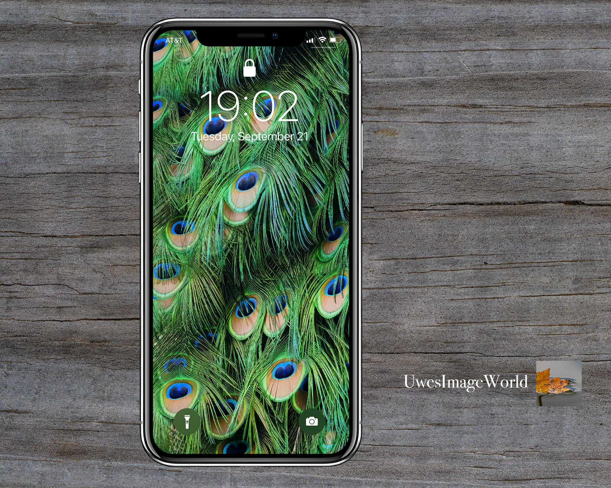 Feather Iphone Wallpaper