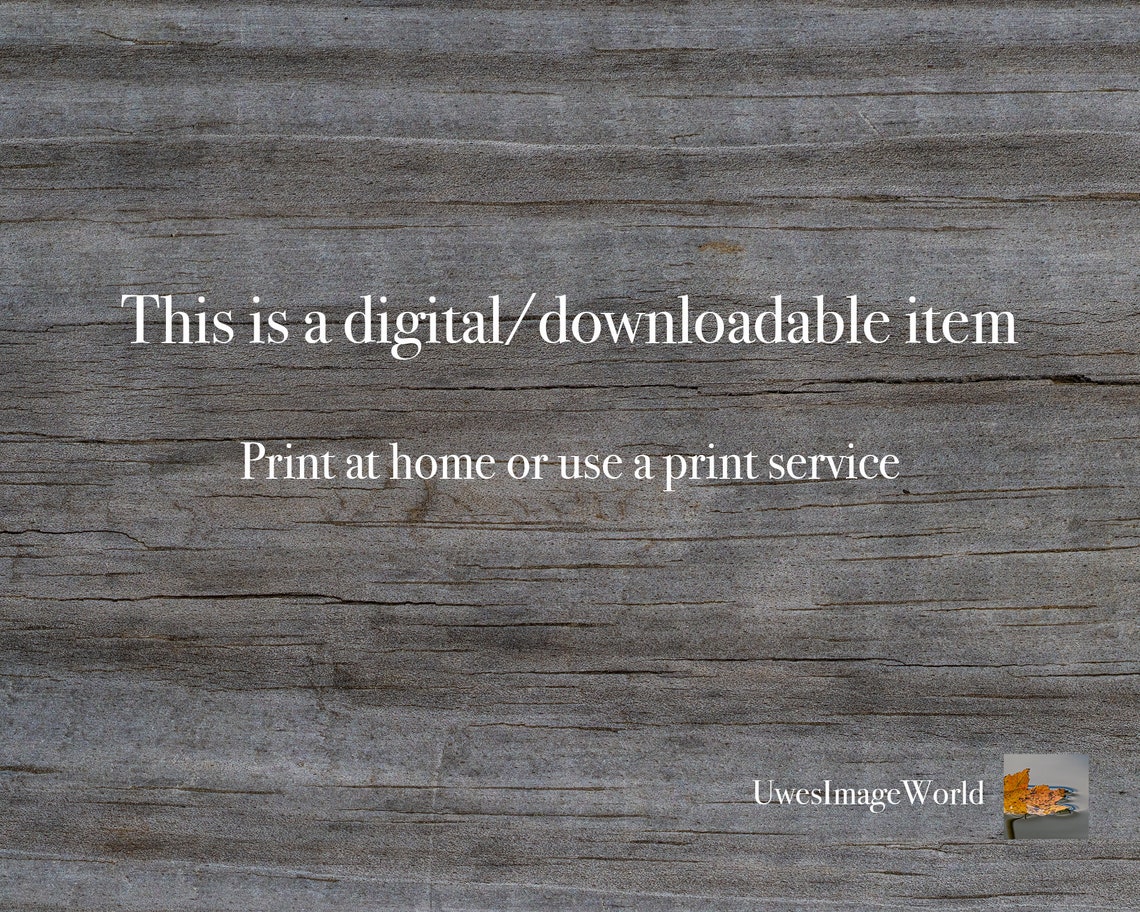 Return Address Label Template | Bird | Nature-inspired Address Label ...