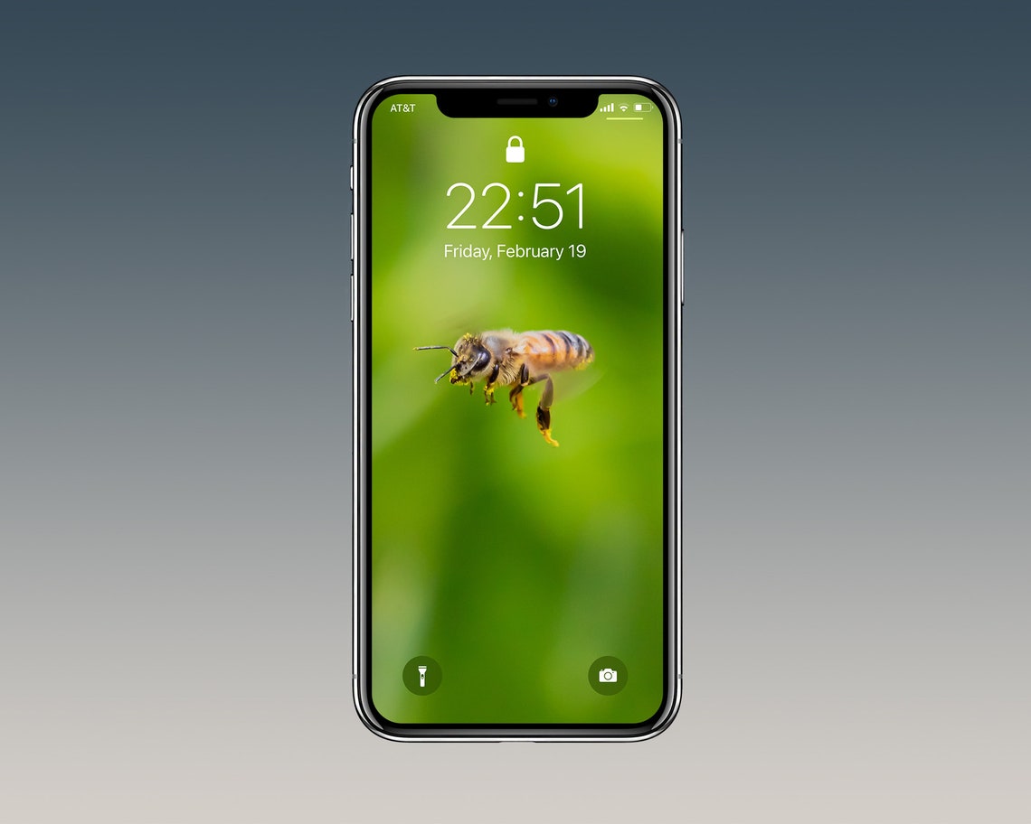 Bundle of Bees Nature Cell Phone Wallpapers iPhone | Etsy