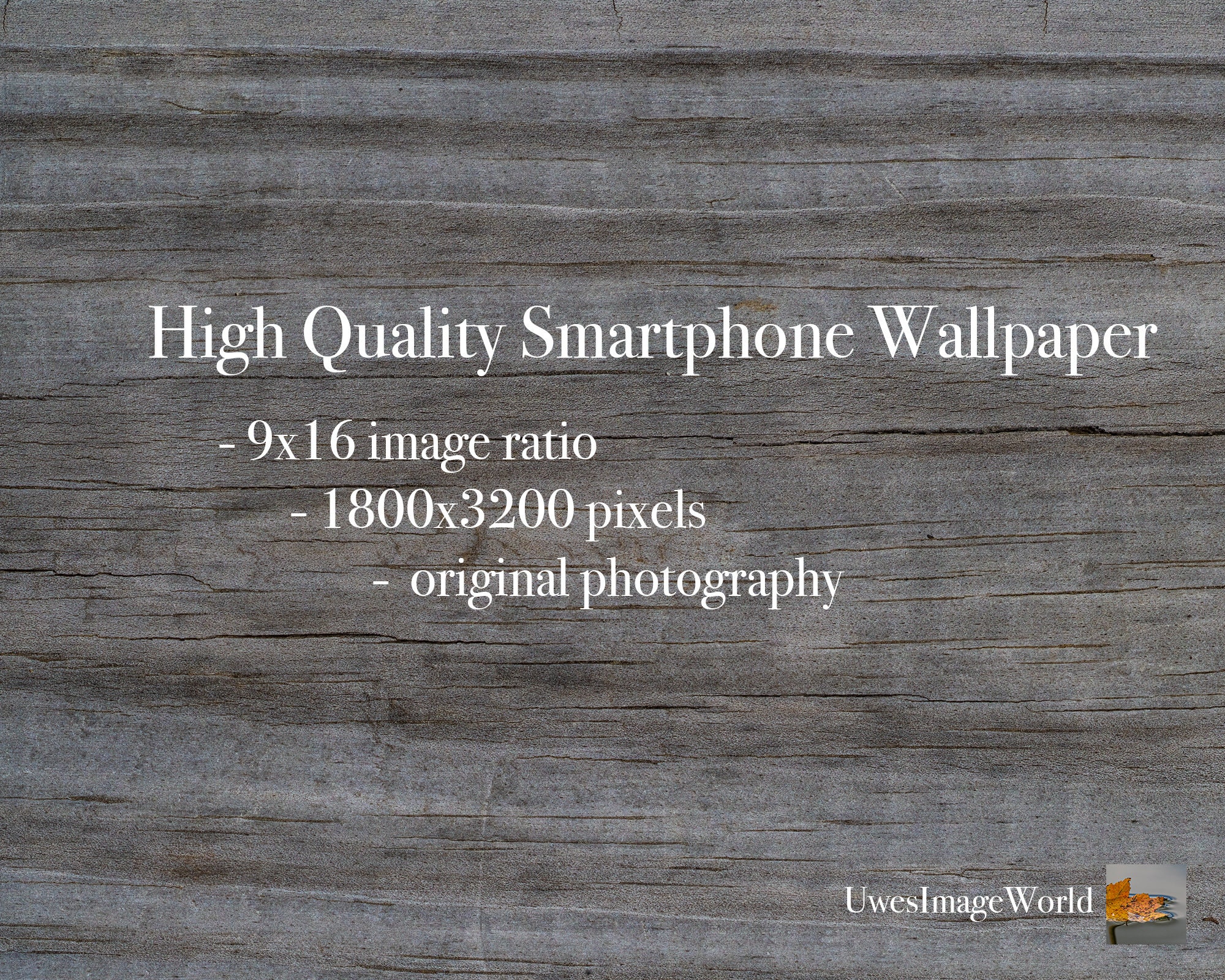 Turtle | Nature Photo Cell Phone Wallpaper | iPhone Wallpaper | Android ...