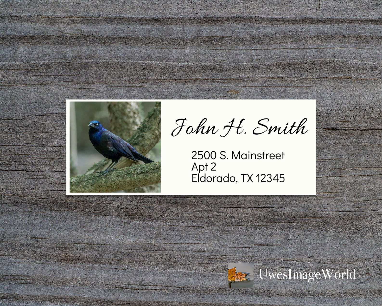 Return Address Label Template Bird Nature-inspired Address | Etsy