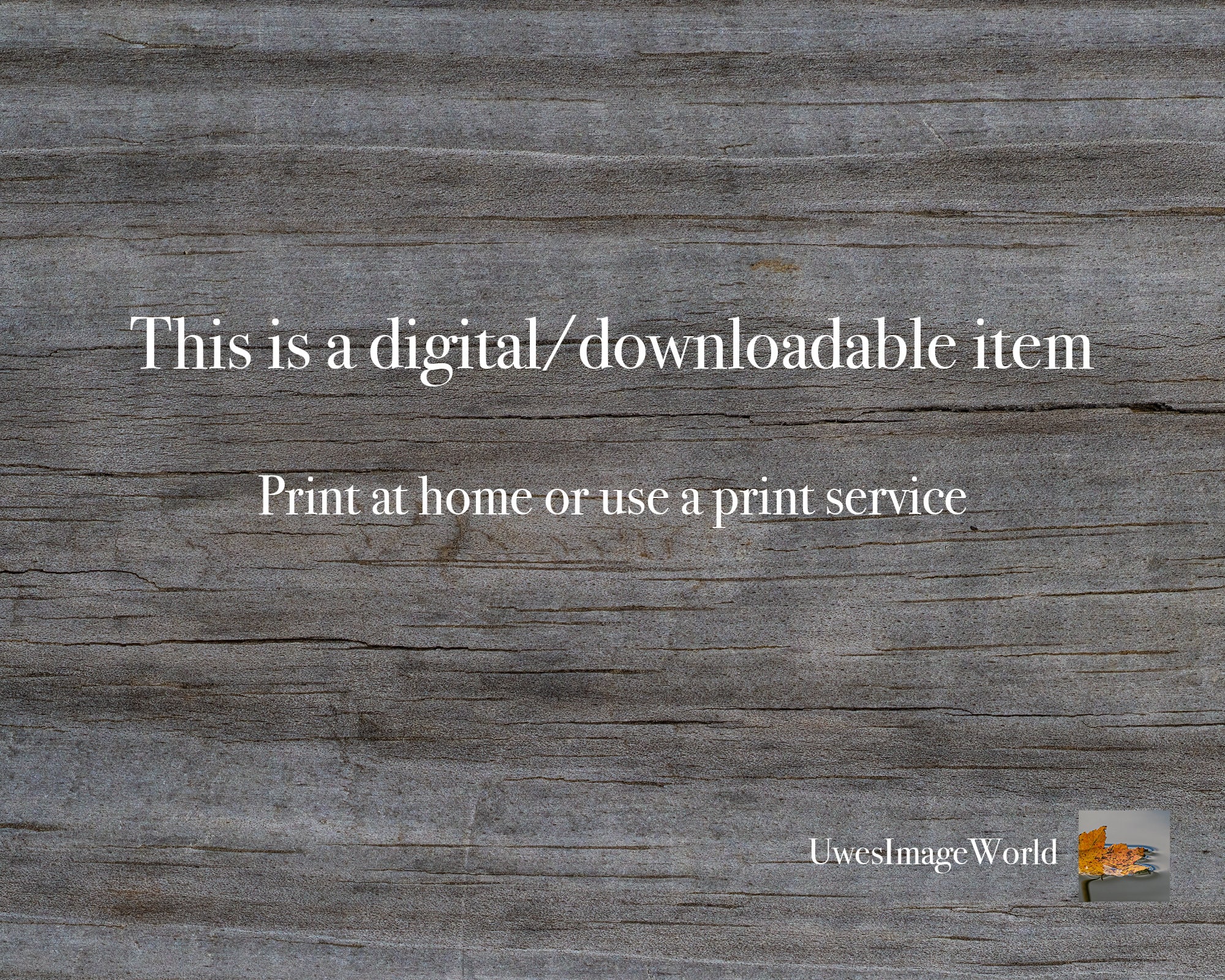 Return Address Label Template | Yellow Flower | Nature-inspired Address ...