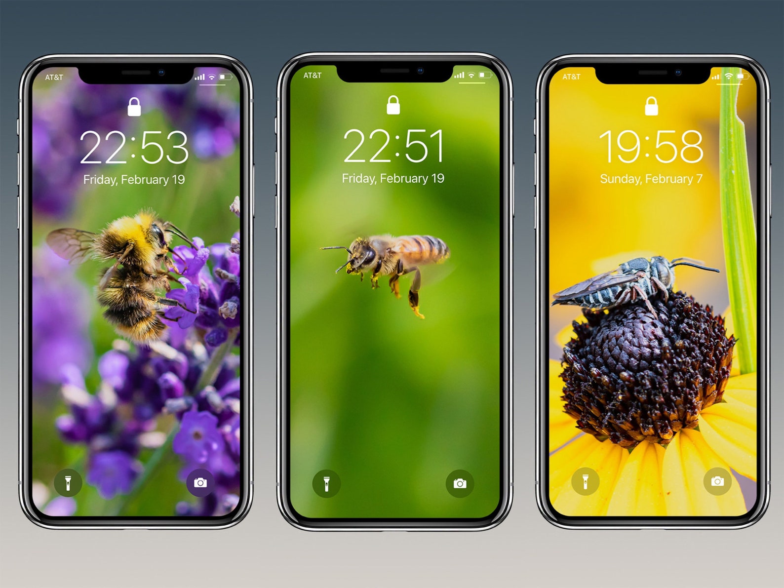 Bundle of Bees Nature Cell Phone Wallpapers iPhone | Etsy