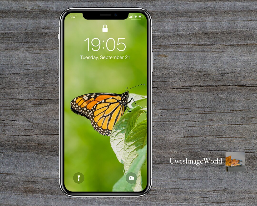 Monarch Butterfly Cell Phone Wallpaper | iPhone Wallpaper | Android and ...