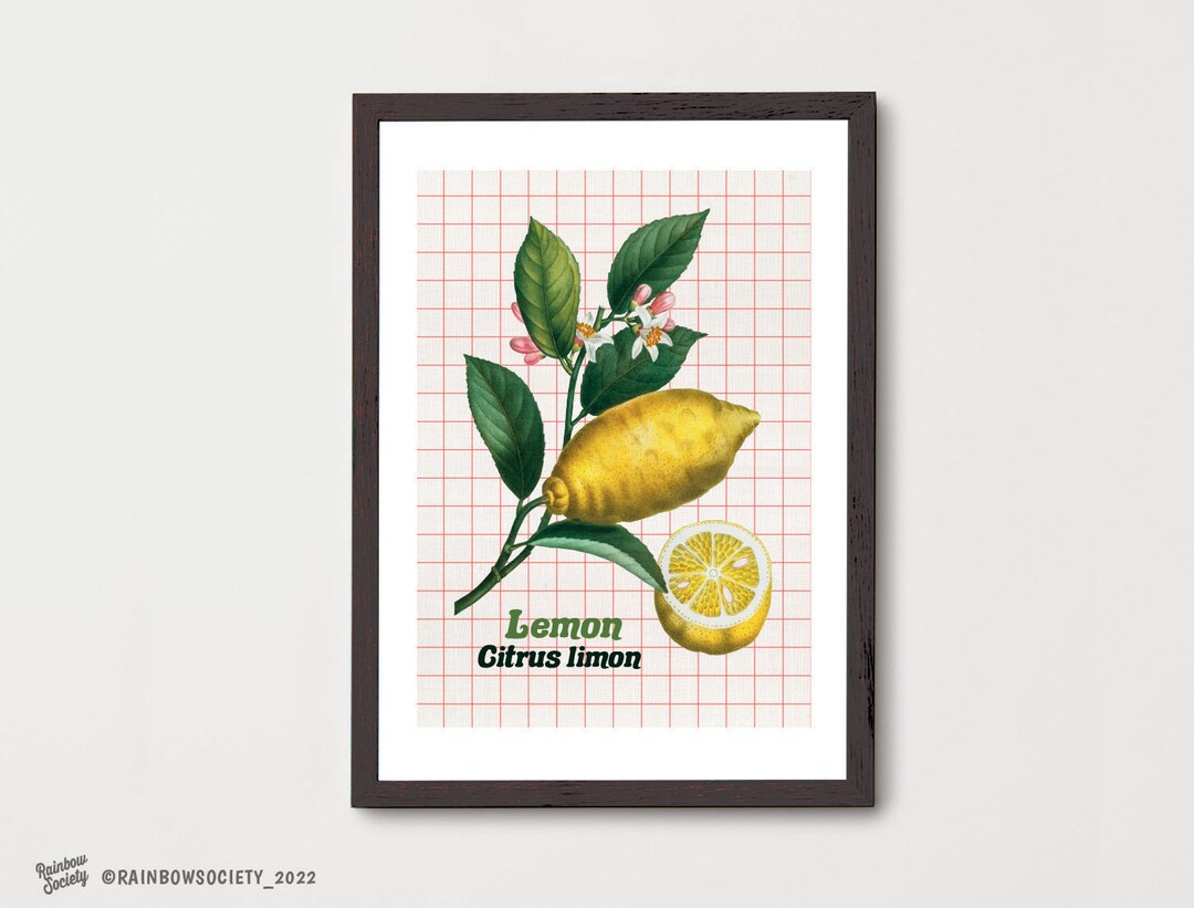 Lemon Print - Vintage Botanical Print - Lemon Fruit Art Print - Lemon ...