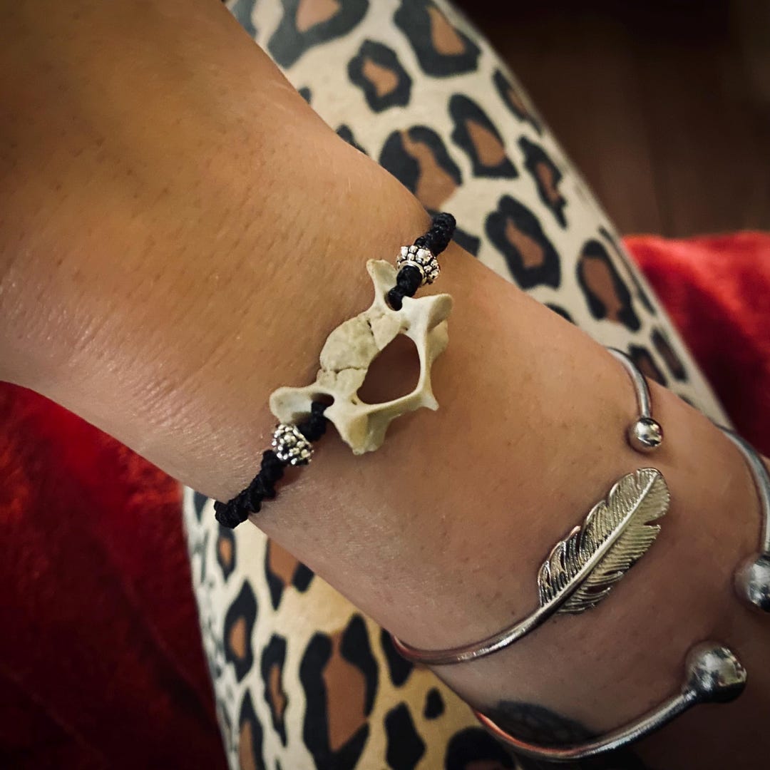 Real Bone Baby Badger Vertebra Macrame Bracelet - Etsy
