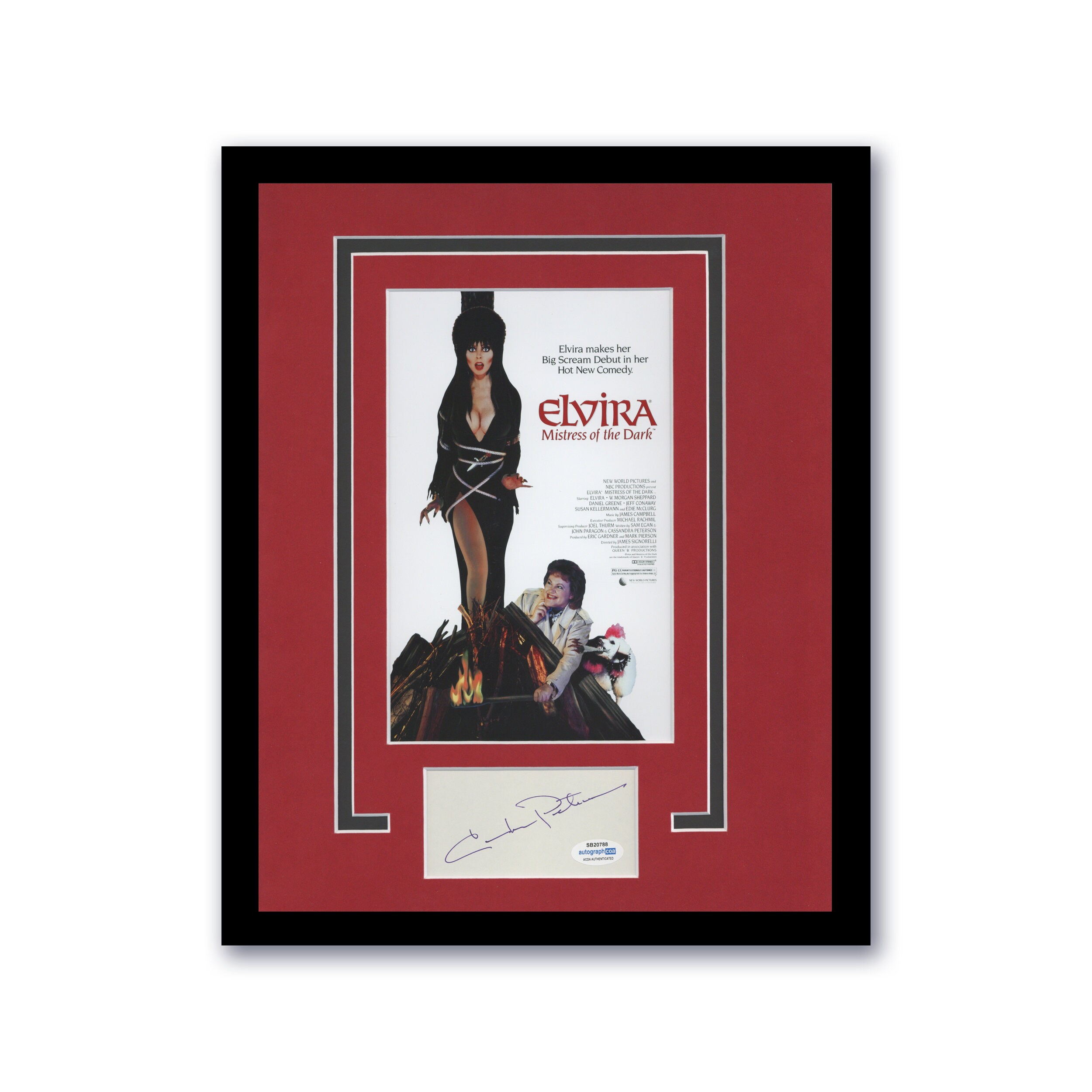 Cassandra Peterson elvira: Mistress of the Dark SIGNED Custom Framed ...