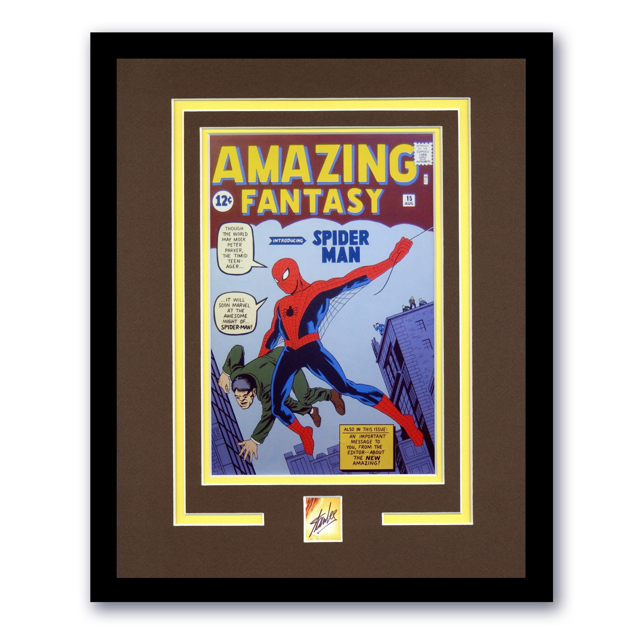 Stan Lee "spider-man" SIGNED 'amazing Fantasy #15' Photo Framed 11x14 ...