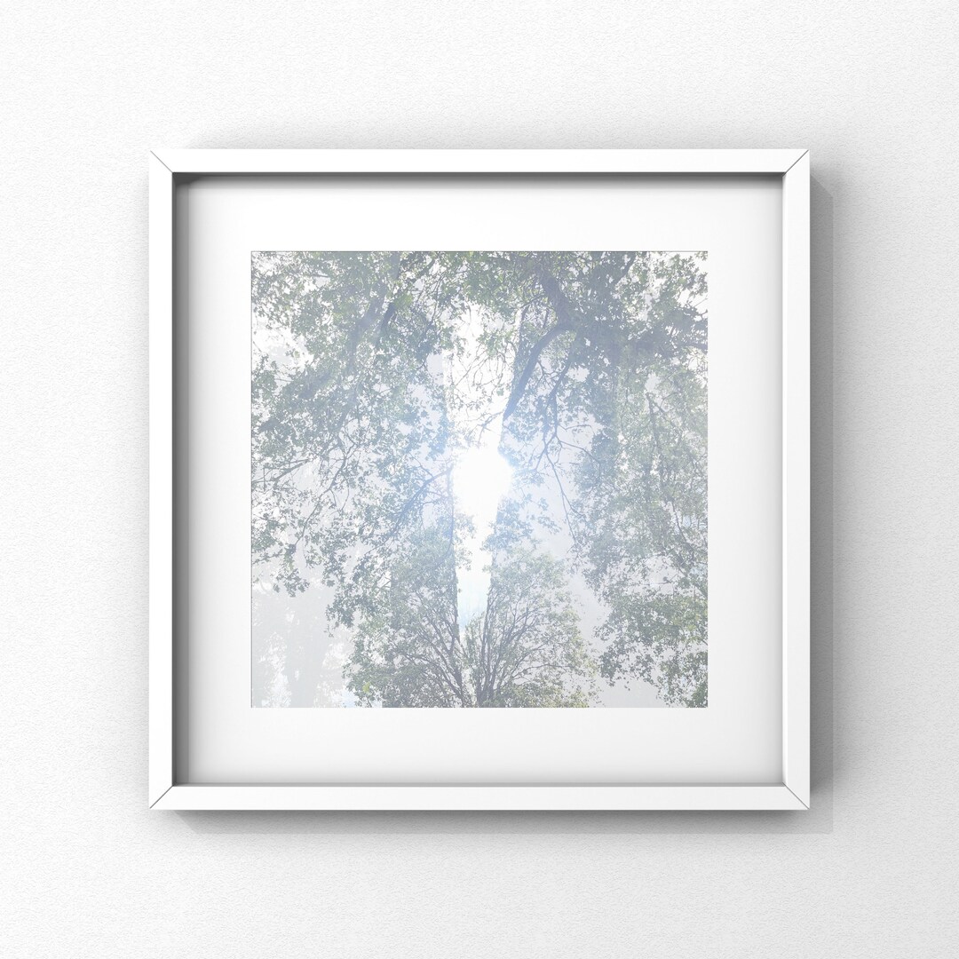 Abstract Photography, Tree Photo, Color in Green, Downloadable Files to ...