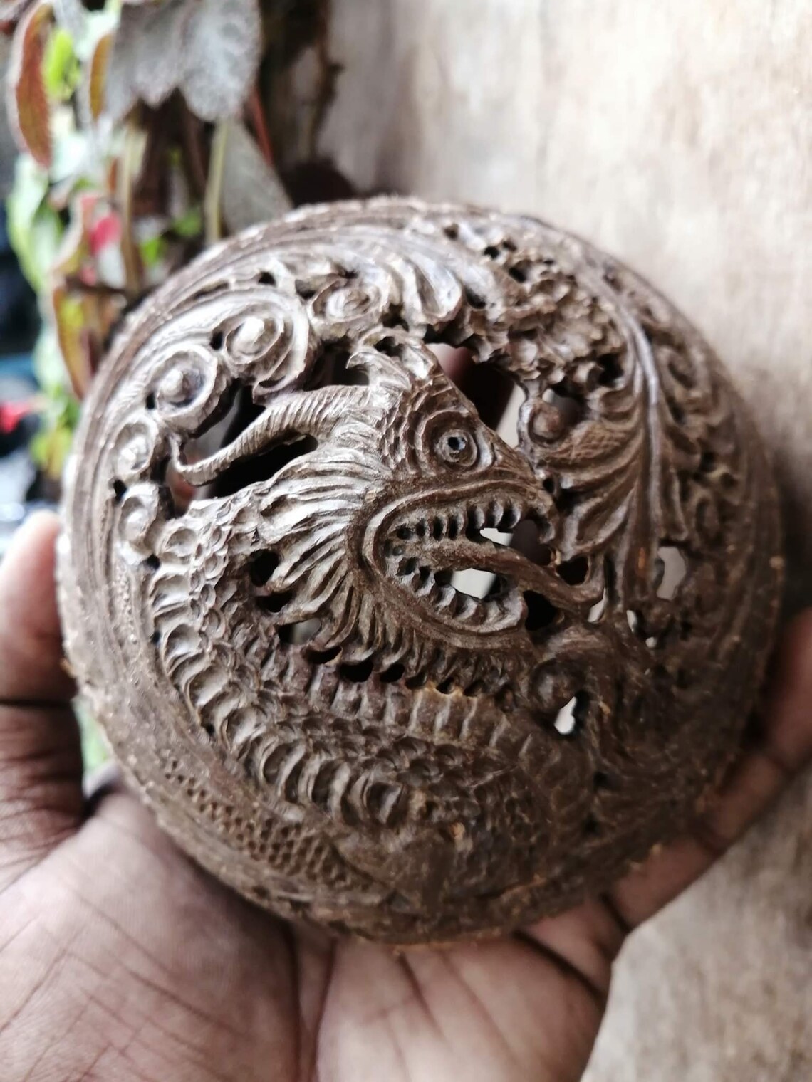 Amazing Coconut Shell Carving Dragon ,hand Carved Home Office, or ...